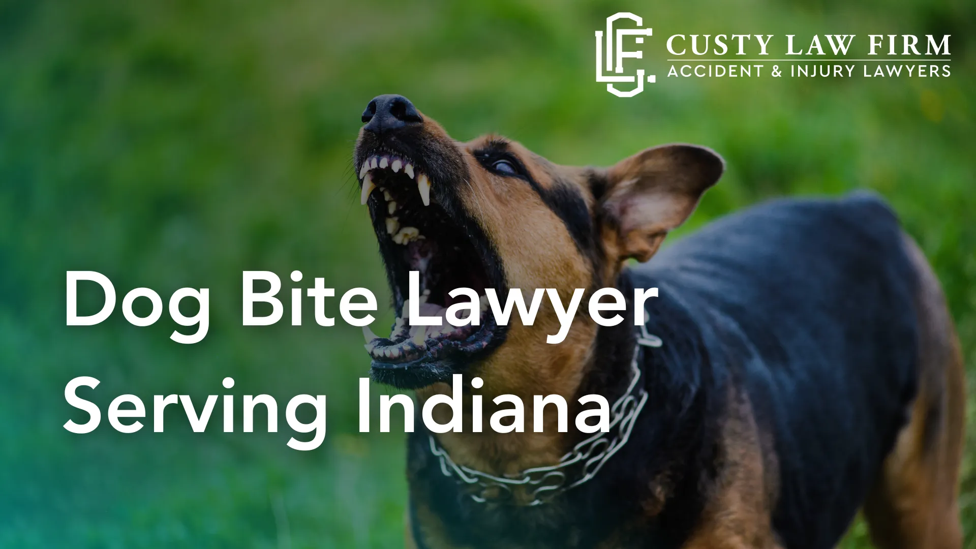 Dog bite lawyer store